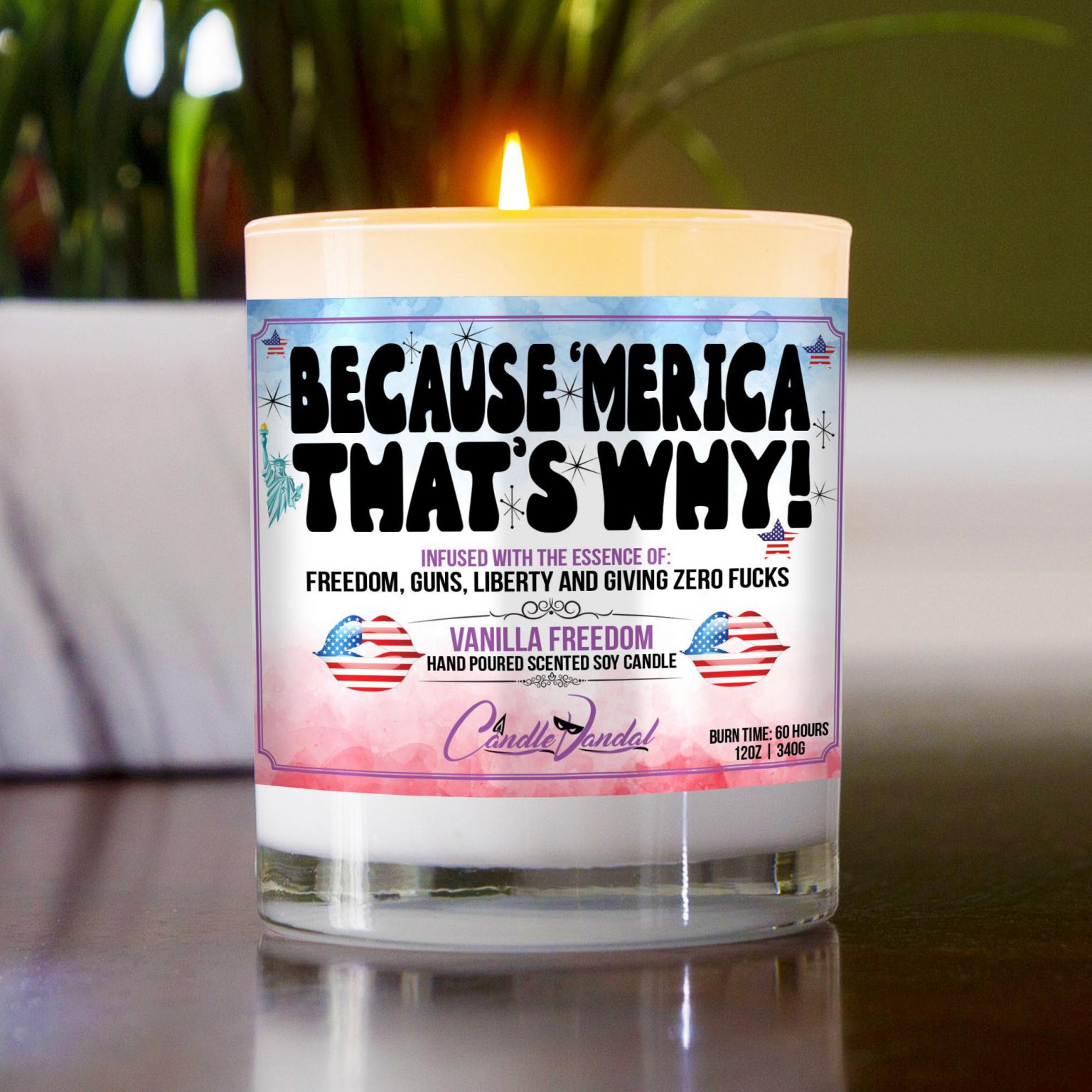 Because 'Merica That's Why Candle | USA Patriotic Candles